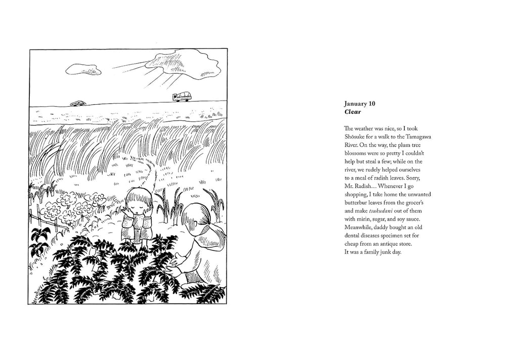 My Picture Diary by Fujiwara Maki – other books