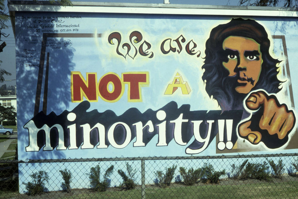 Give Me Life: Iconography and Identity in East LA Murals – other books